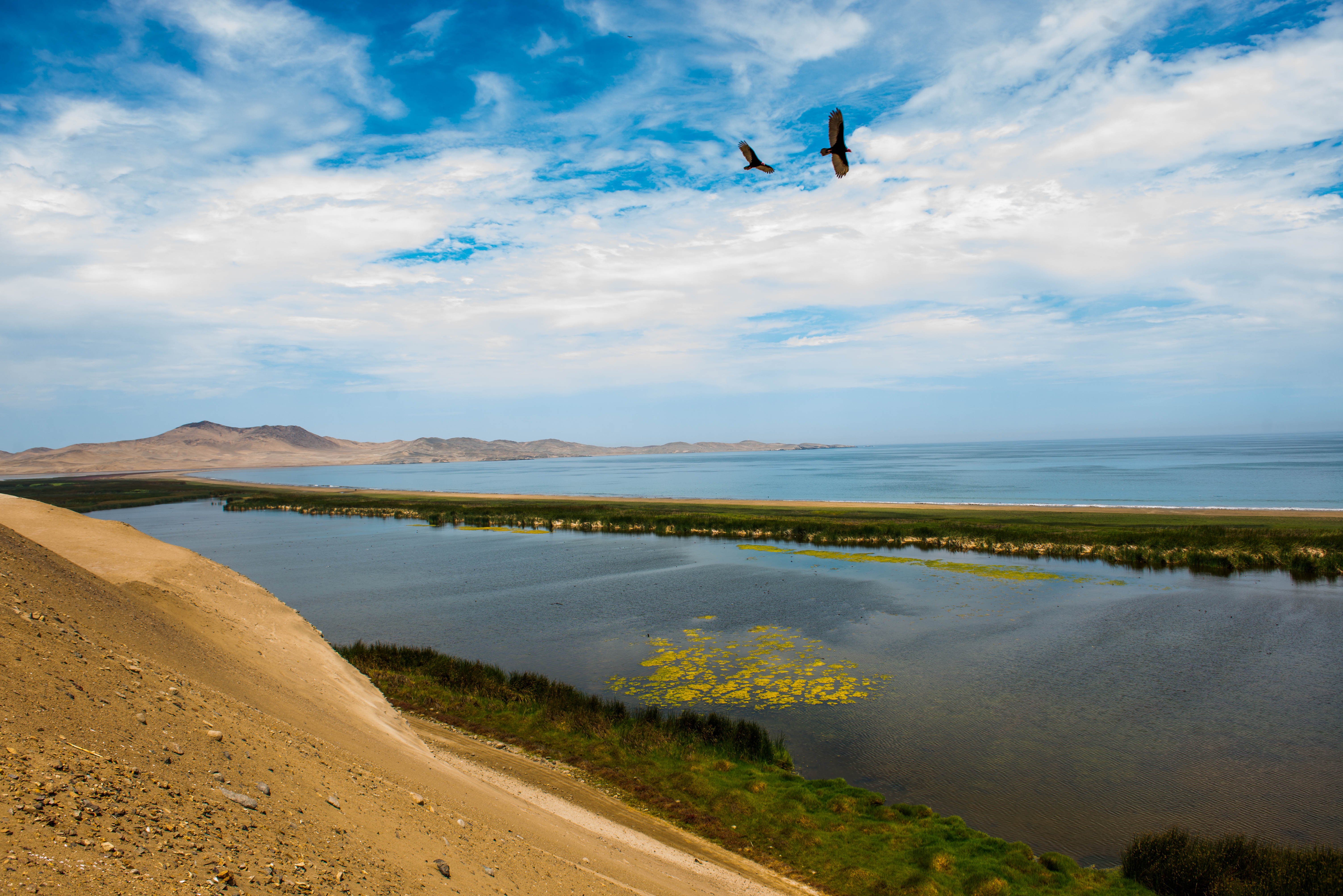 Albúfera Paraíso » Recurso Turístico - Lima, Huaura, Huacho